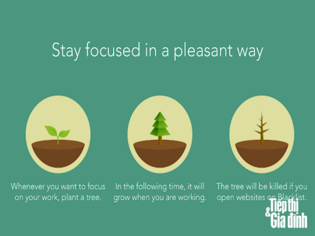 ung-dung-forest-trong-cay-xanh - Tiếp Thị Gia Đình